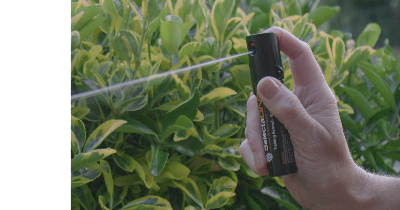 Keep Safe: New SelectaDNA Personal Defence Sprays | SelectaDNA