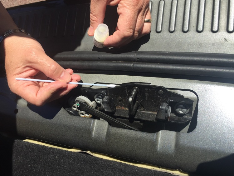 SelectaDNA Vehicle Kit | SelectaDNA