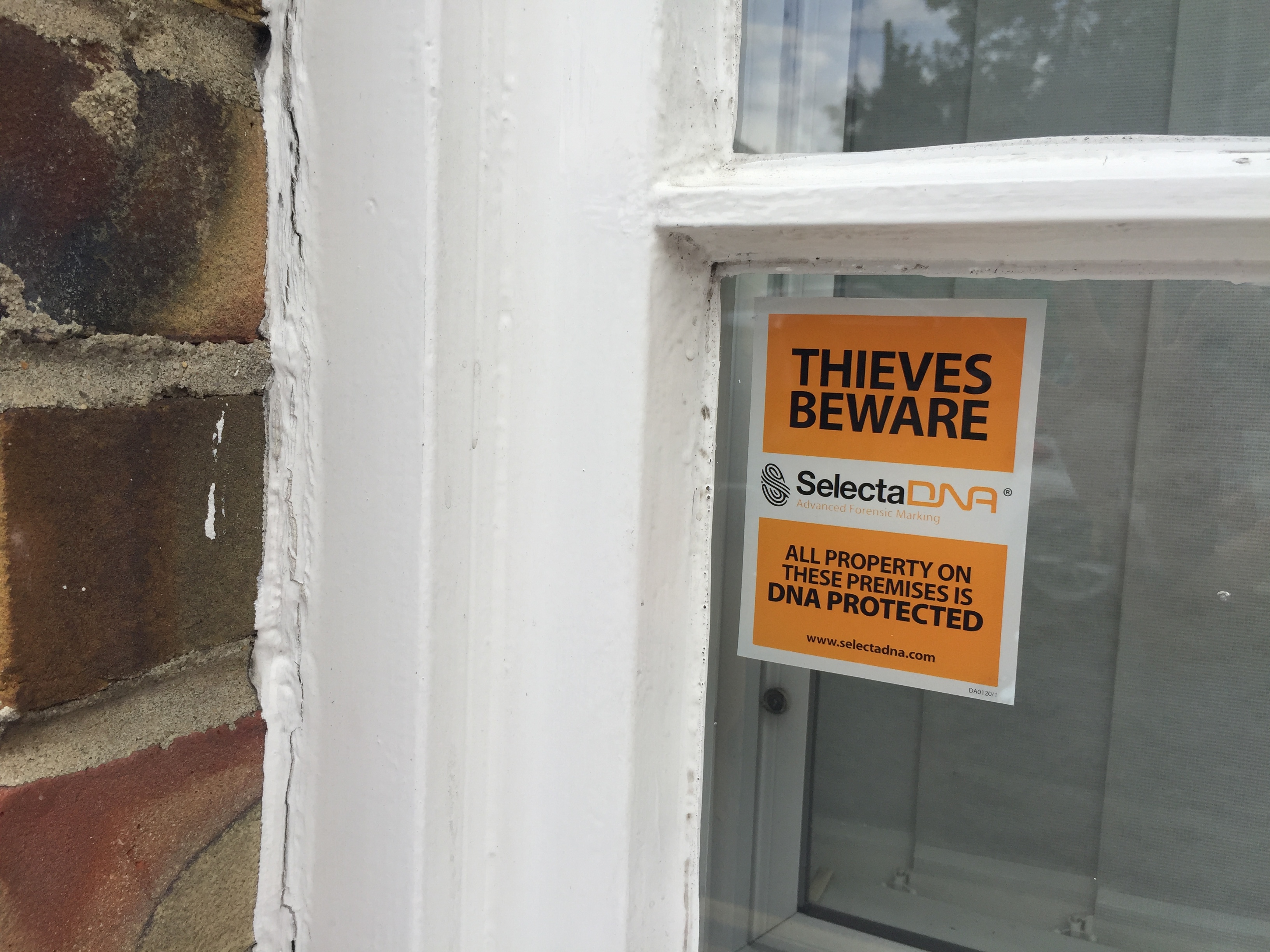 SelectaDNA Grease (50g) | SelectaDNA